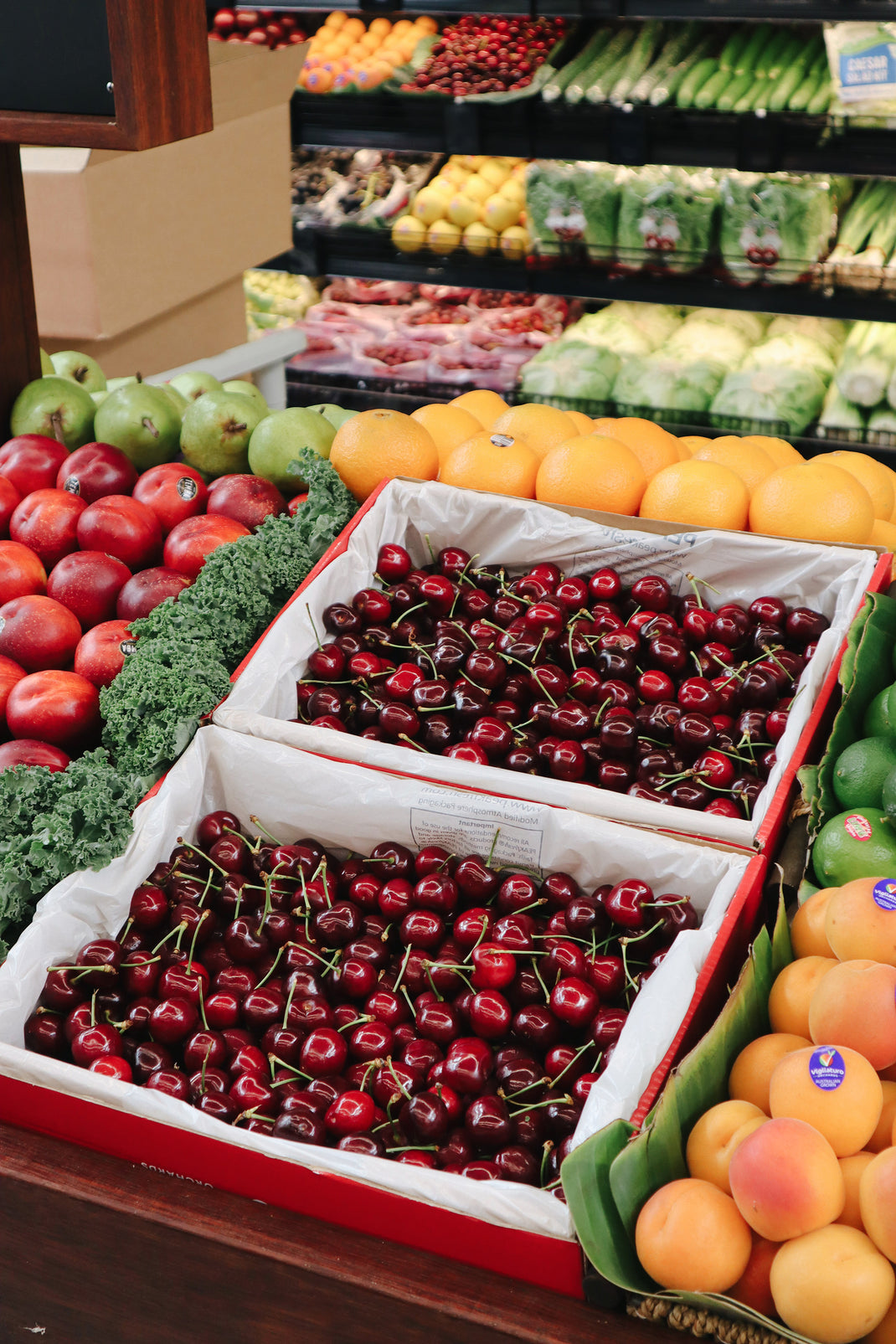 Shop – The Oxley 1823